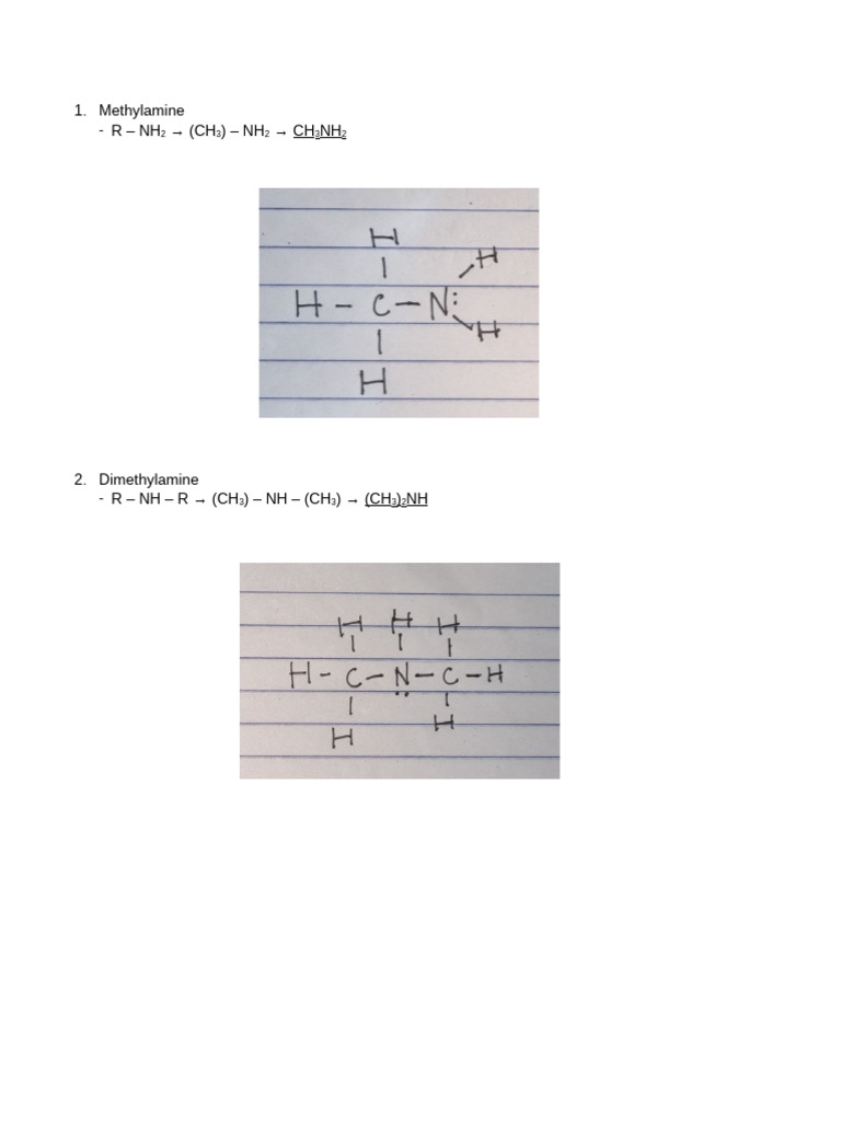 Example of Structures of Amines | PDF