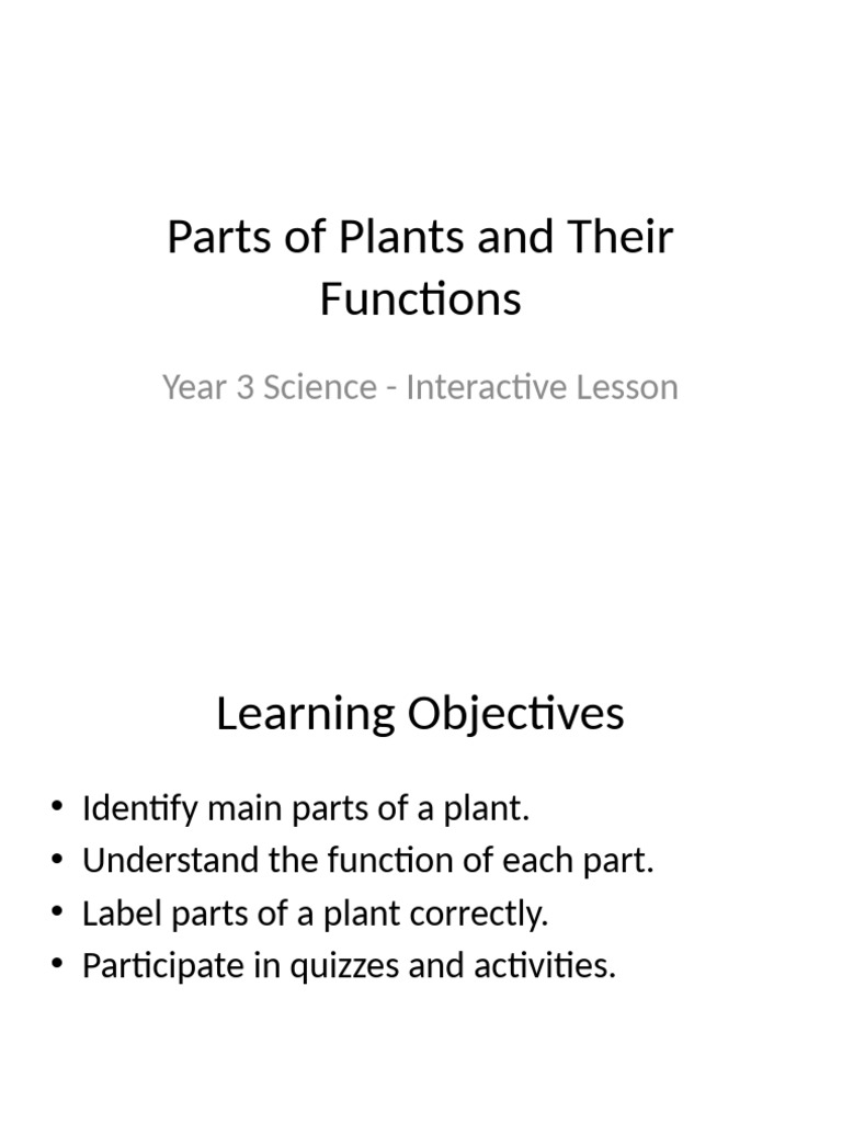 Interactive Year 3 Parts of Plants Lesson | PDF