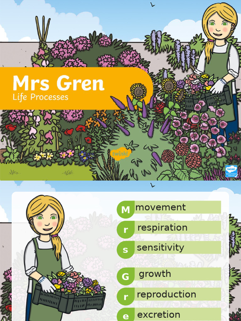 t c 254384 Mrs Gren Life Processes Powerpoint Ver 4 | PDF