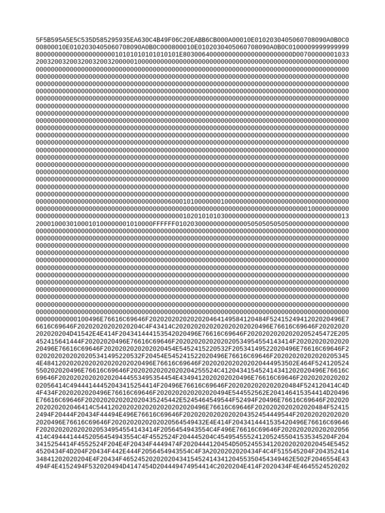 Hexadecimal Data Analysis Document | PDF