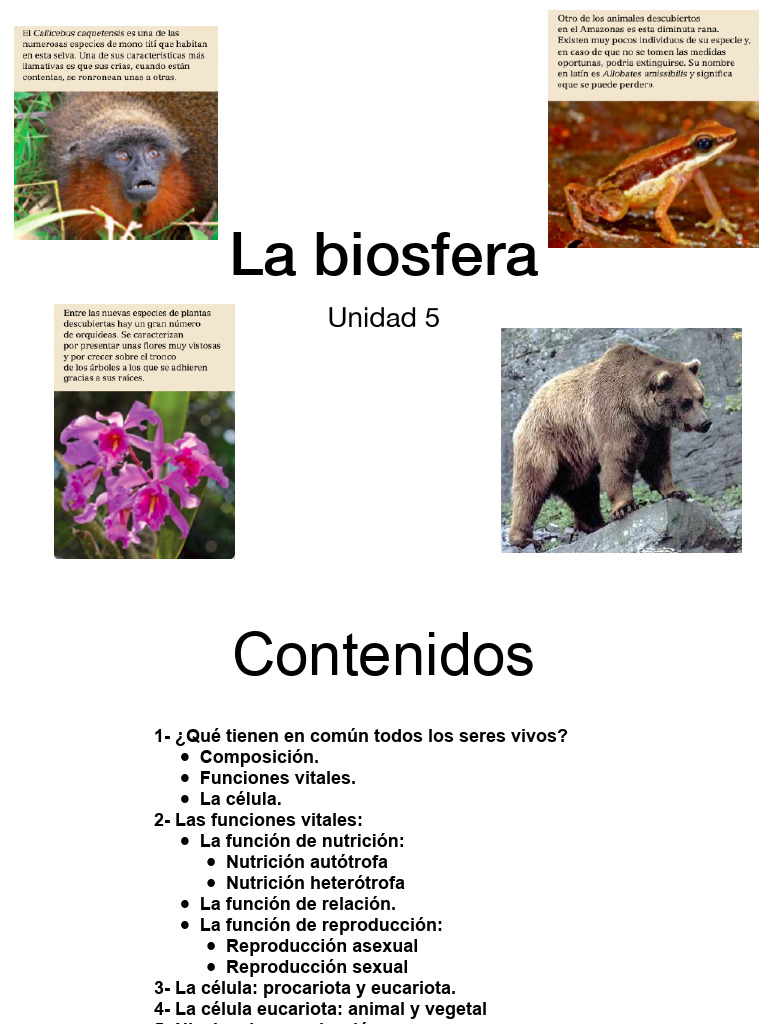 La Biosfera PDF | PDF | Organismos | Biología Celular)
