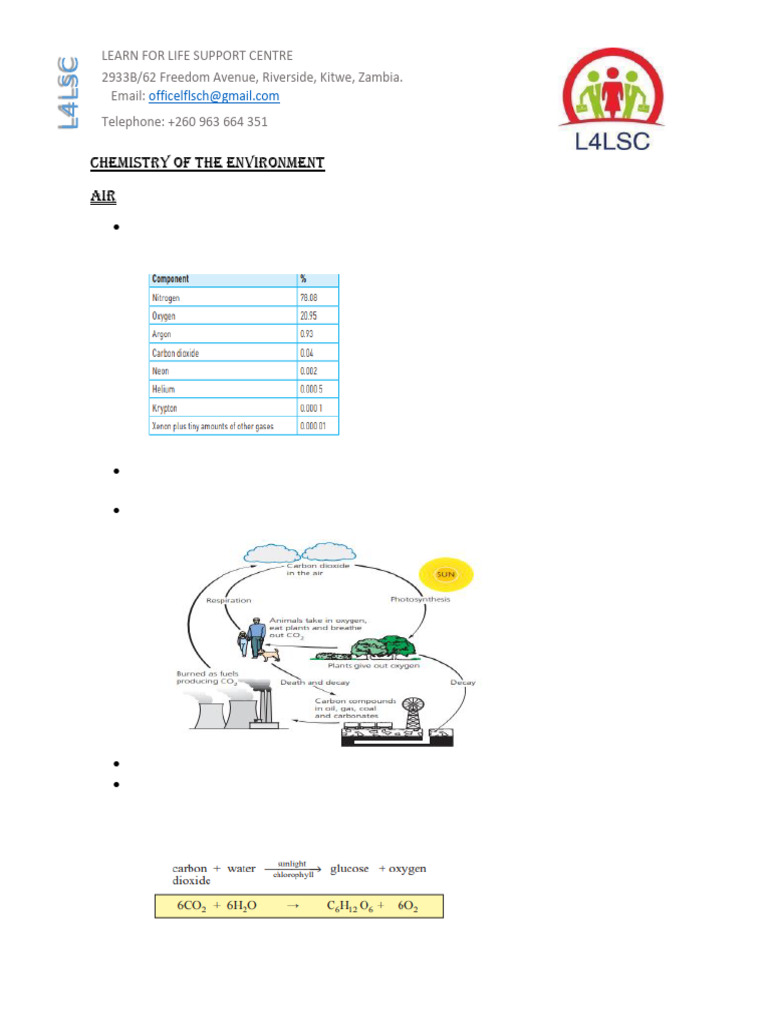 Chemistry of The Environment | PDF | Exhaust Gas | Combustion