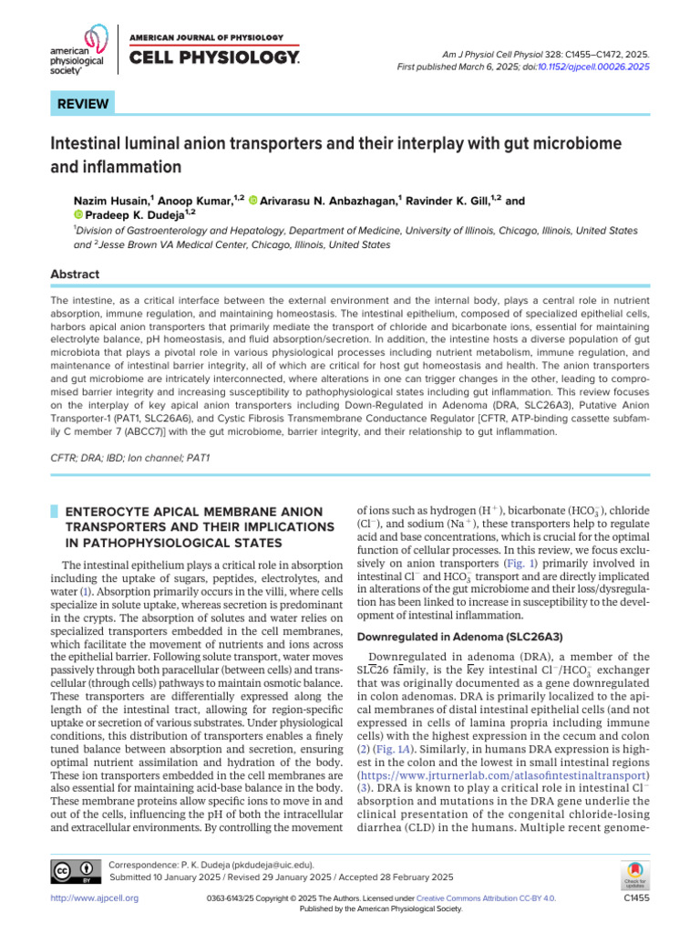 husain-et-al-2025-intestinal-luminal-anion-transporters-and-their ...