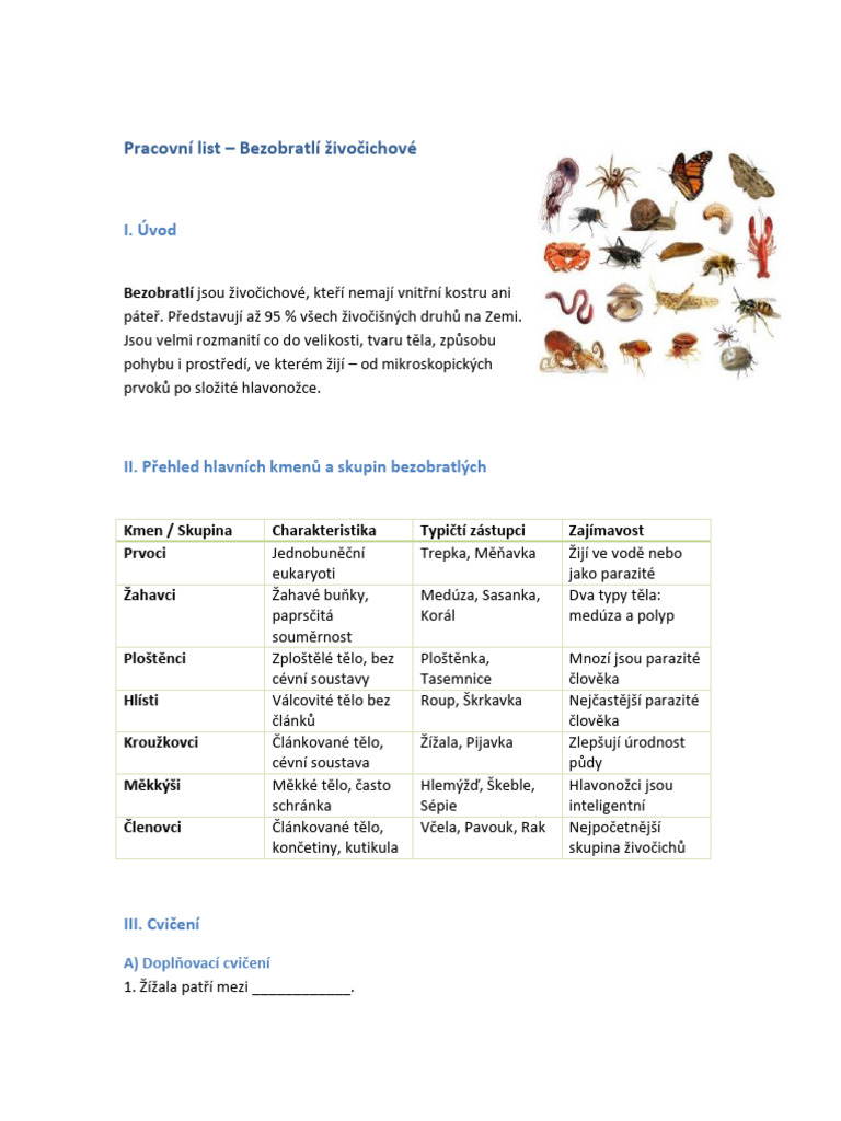 Bezobratli Pracovni List | PDF