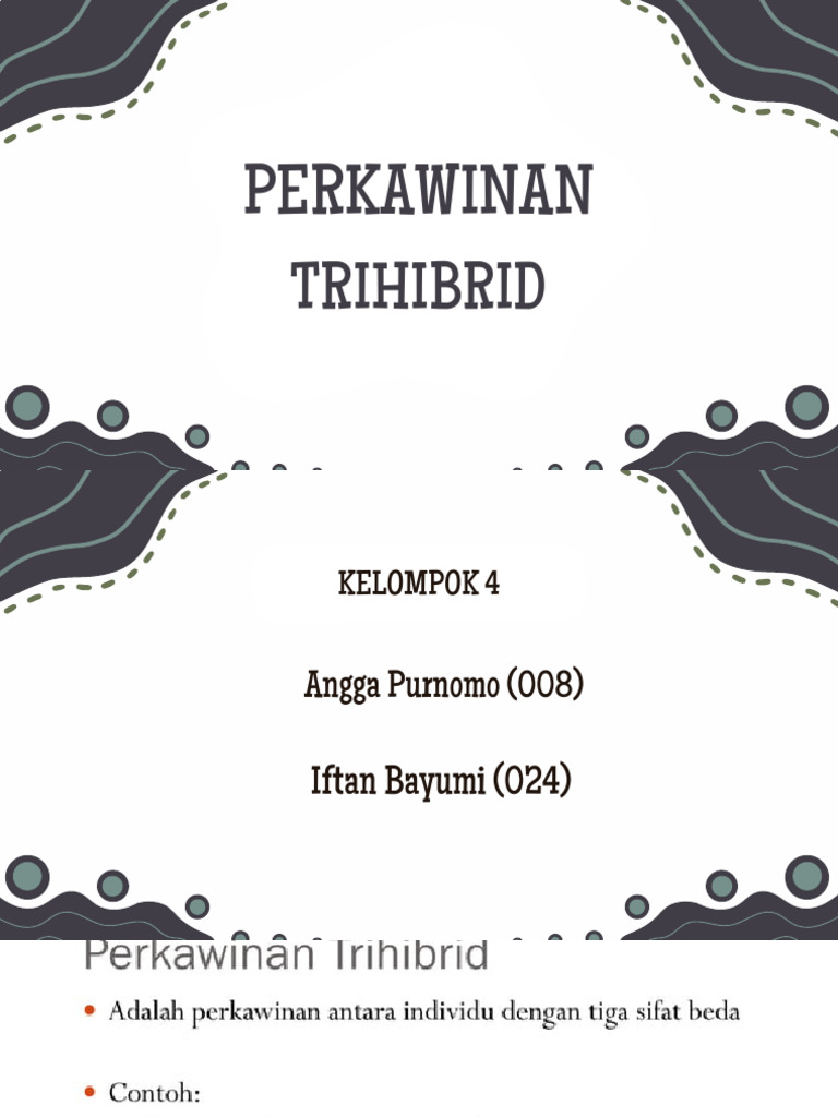 DOC-20240520-WA0011. | PDF