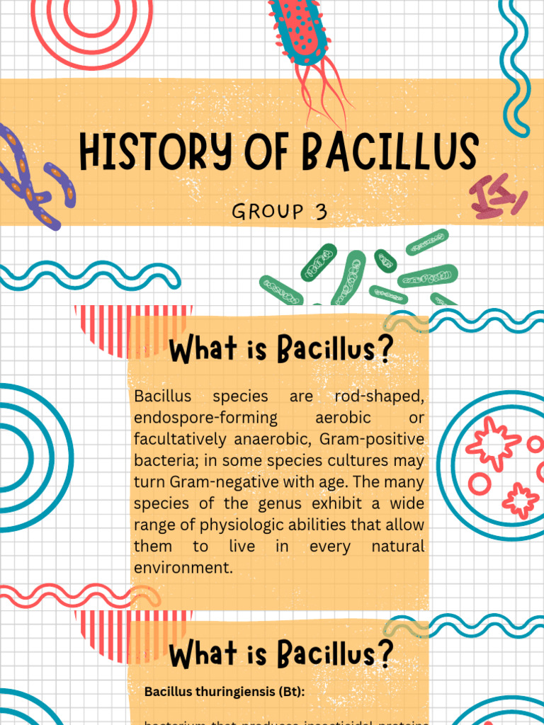 Bacteria Biology Presentation in A Bold Colorful Style | PDF | Bacillus ...