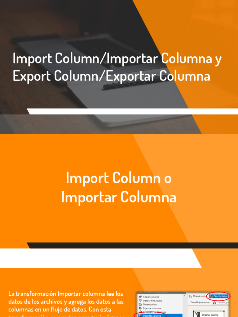 016 14.Import-Column-o-Importar-Columna-Y-Export-Column-o-Exportar-Columna | PDF