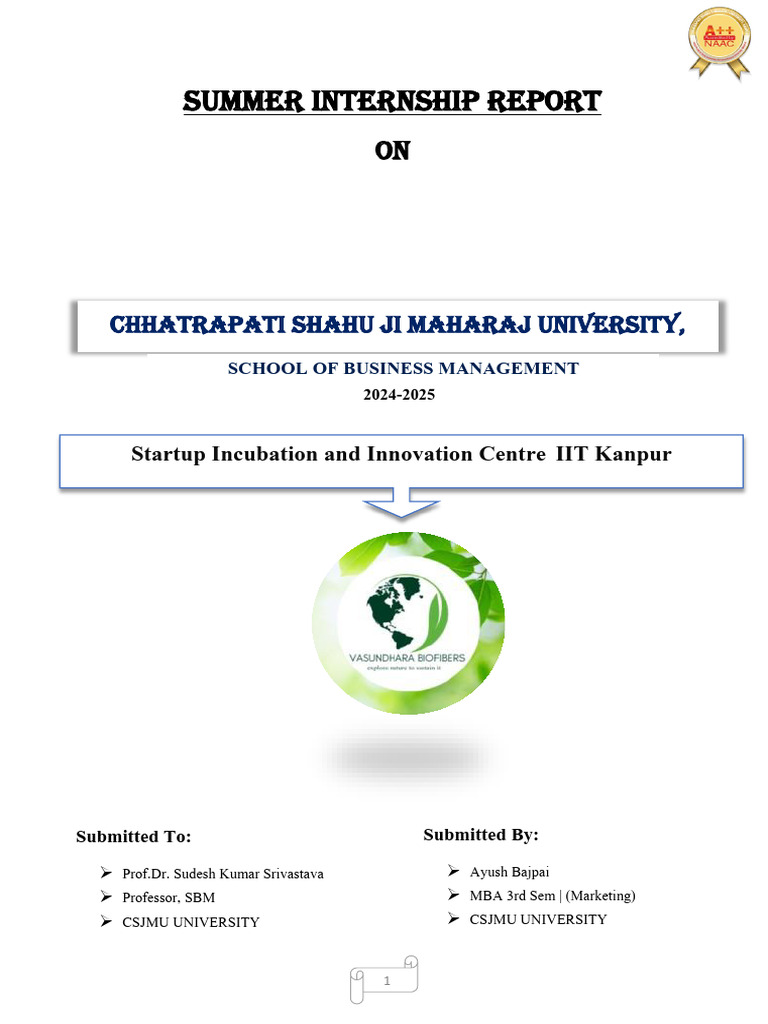 Summer Report 2024 | PDF | Sustainability | Marketing