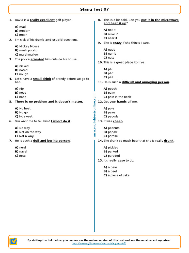 Slang Test 07: Identify the Correct Answer | PDF
