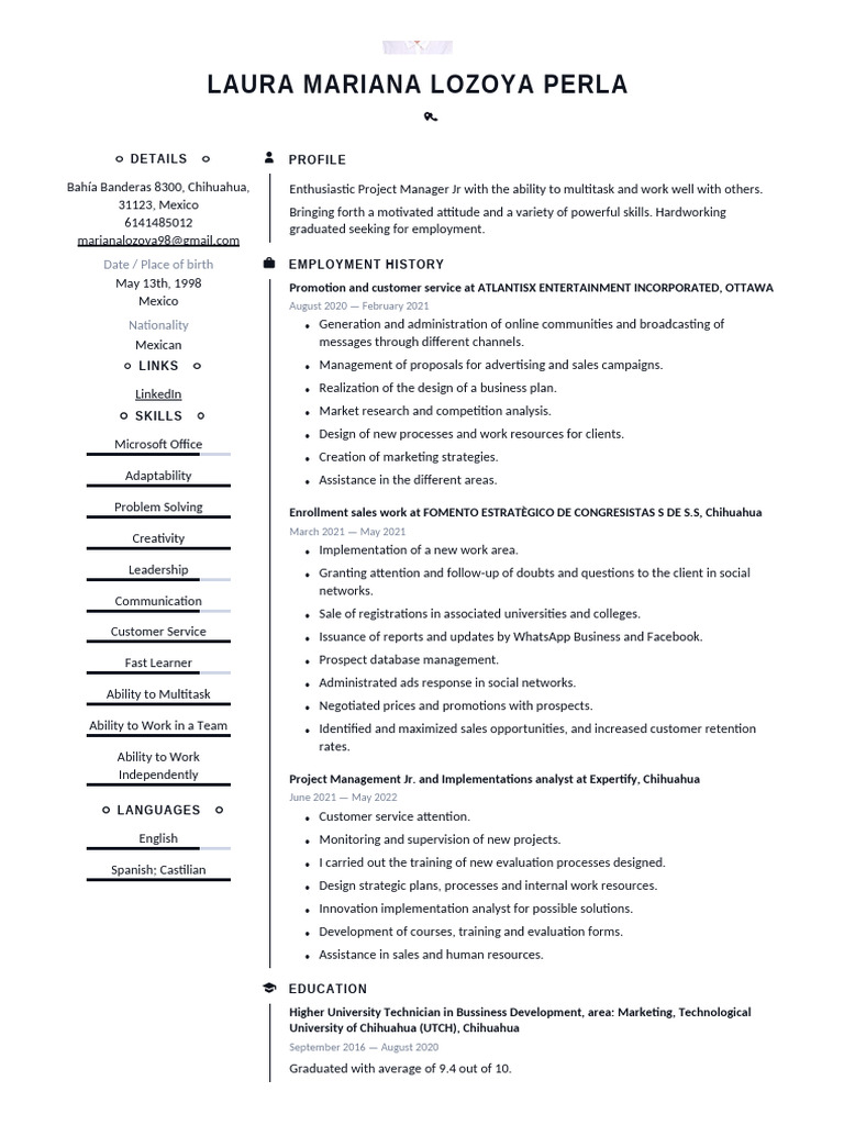 Laura Mariana Lozoya Perla - Project Manager JR | PDF | Advertising | Marketing