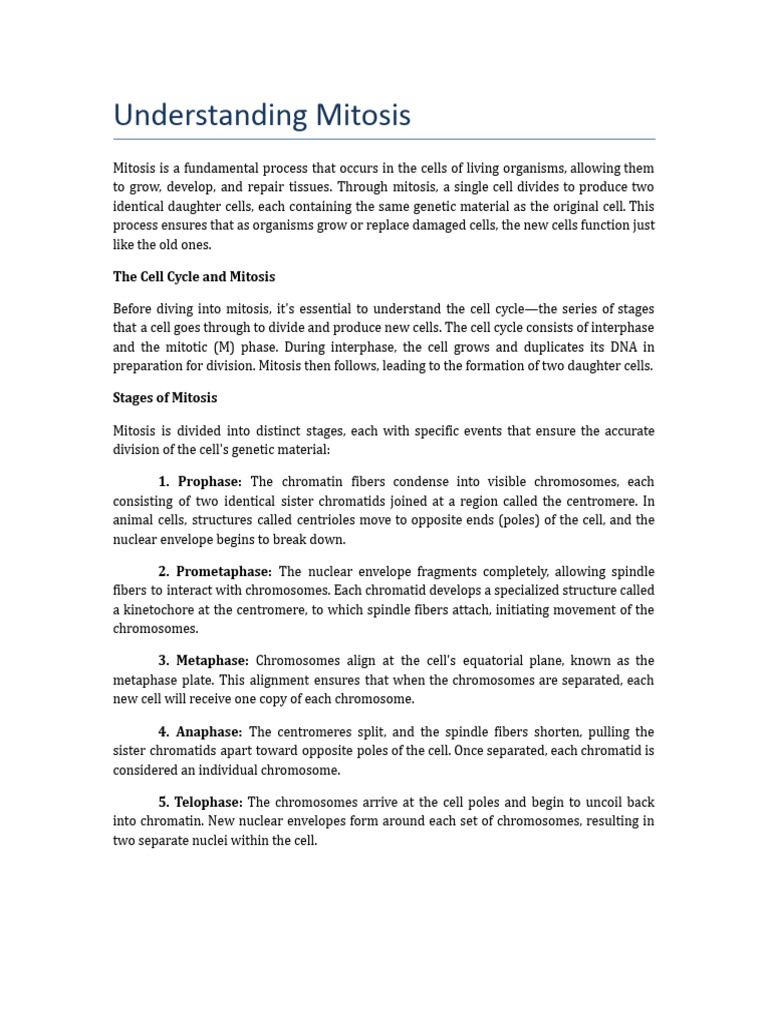 Mitosis_Lecture_Note_6th_Grade | PDF | Mitosis | Chromosome