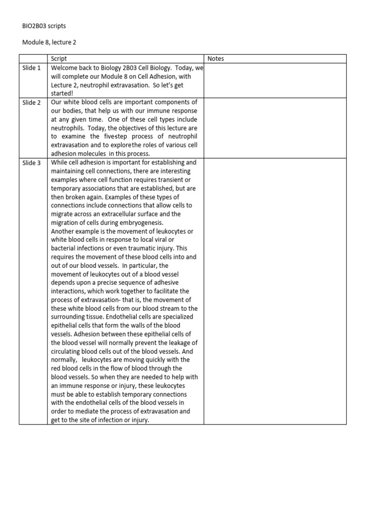 Bio 2B03 Module 8 Lecture 2 Script | PDF | Cell Adhesion | White Blood Cell