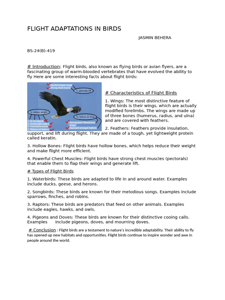 Flight Adaptations in Birds 2 | PDF