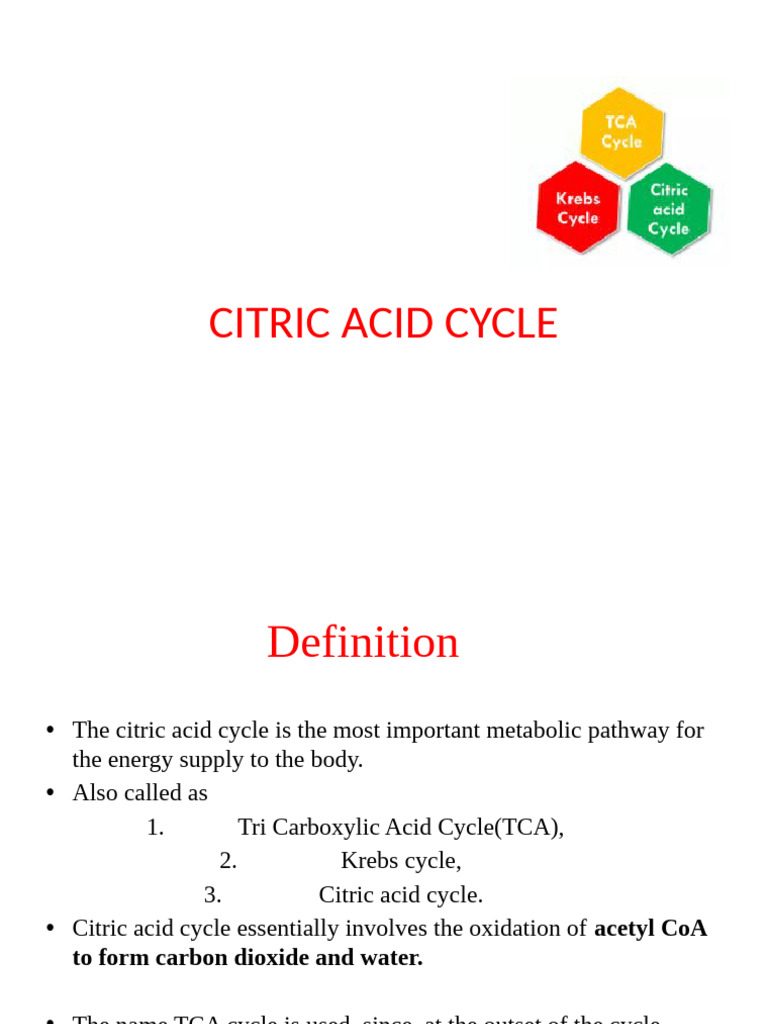 Citric Acid Cycle (1) | PDF | Citric Acid Cycle | Chemistry