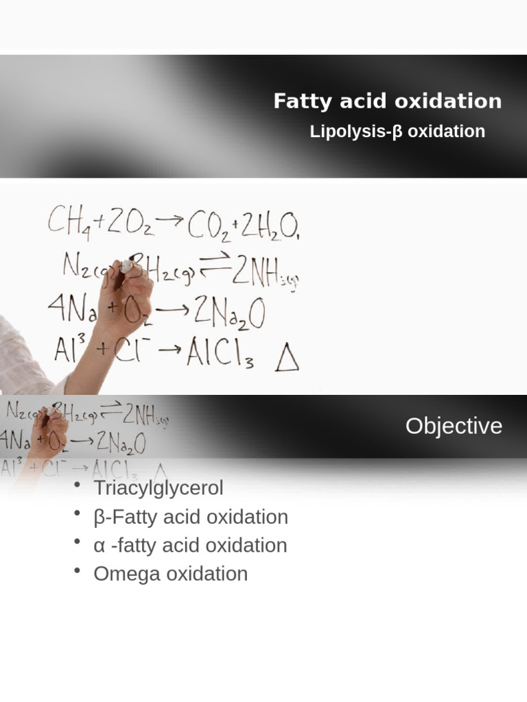 Oxidation of Fatty Acid | PDF | Mitochondrion | Fatty Acid