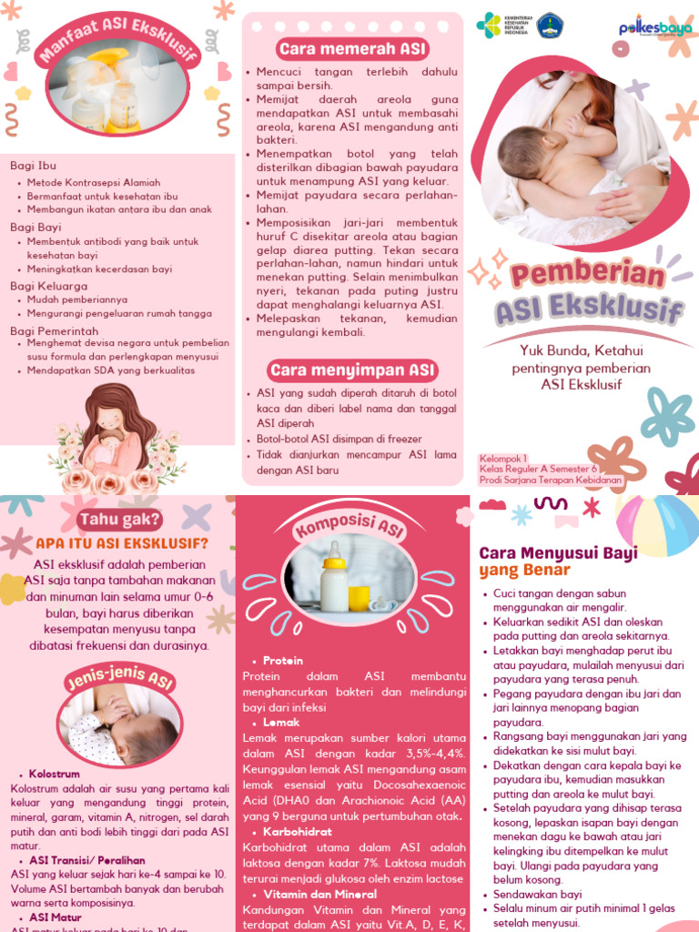 Panduan ASI Eksklusif untuk Ibu dan Bayi | PDF