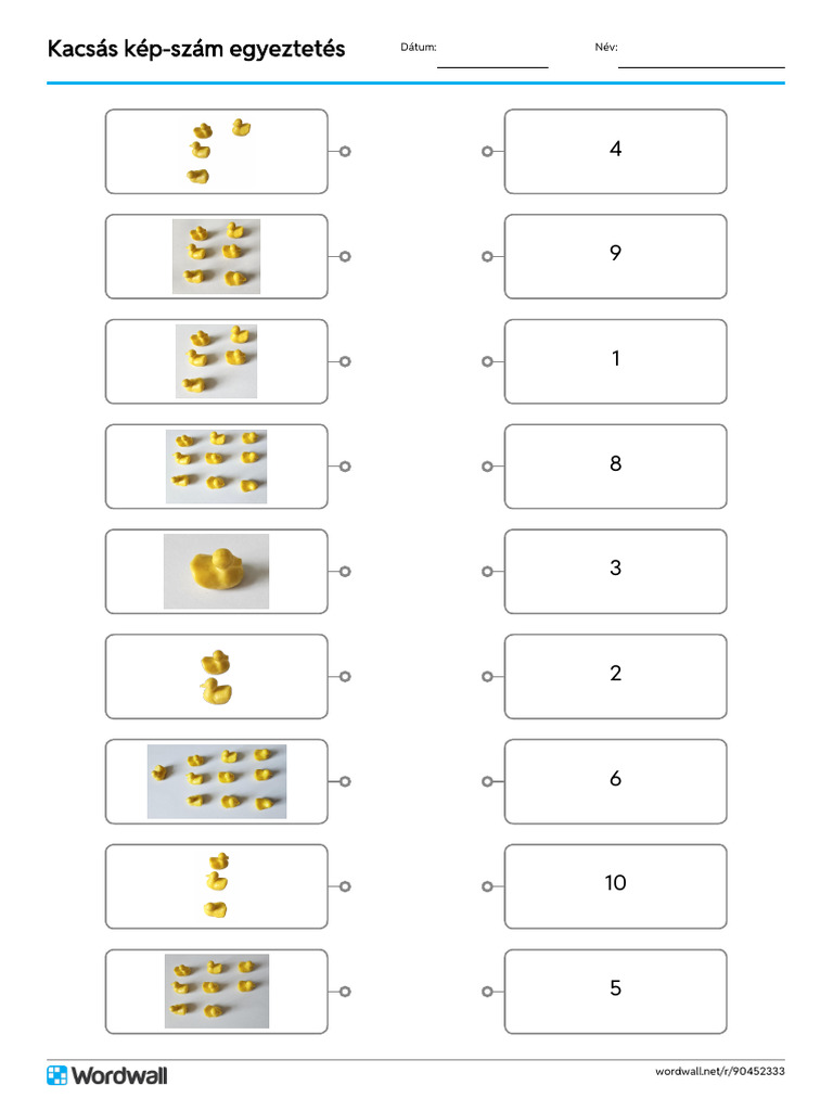 Kacsás Kép Szám Egyeztetés Match Up Vonalas Rajz | PDF
