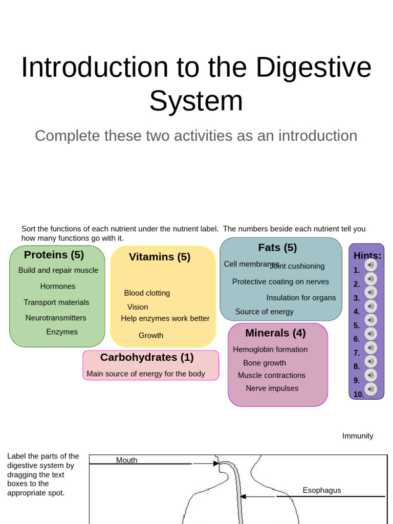 001 Introduction To The Digestive System | PDF | Gastrointestinal Tract ...