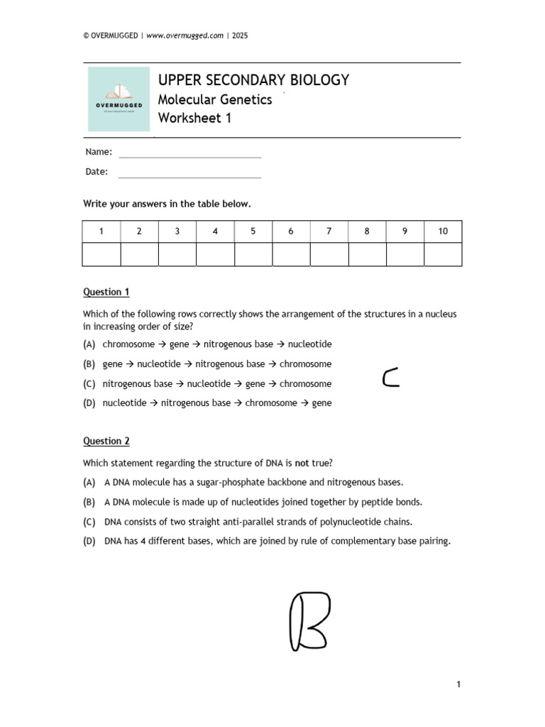 Molecular Genetics WS1 | PDF | Dna | Nucleic Acid Sequence