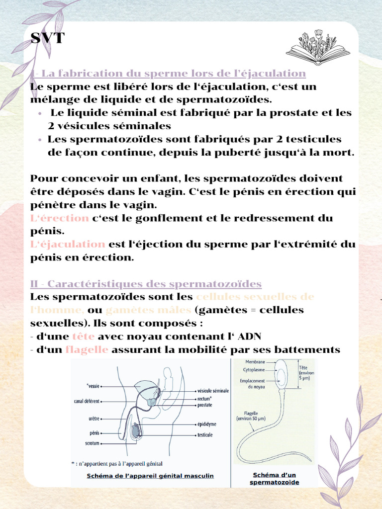 Reproduction humaine : cycle et éjaculation | PDF