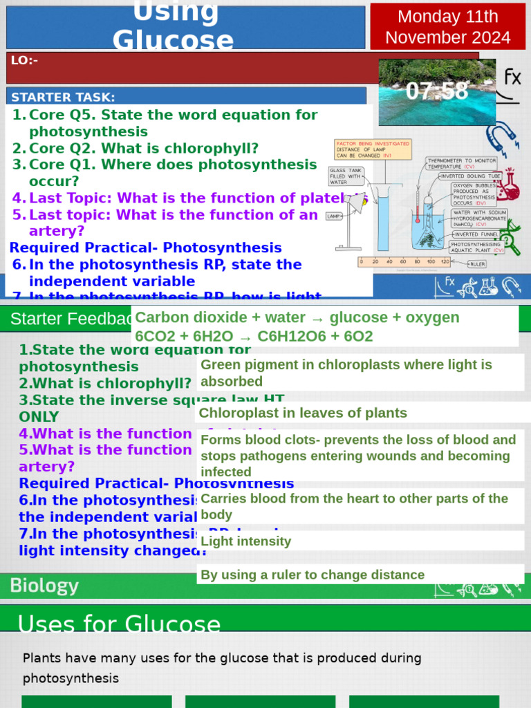 5.plants Using Glucose B2 MCU | PDF | Photosynthesis | Glucose