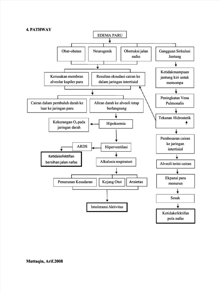 PDF Pathway Edema Paru - Compress | PDF