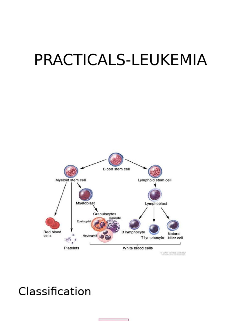 Practicals Leukemia | PDF