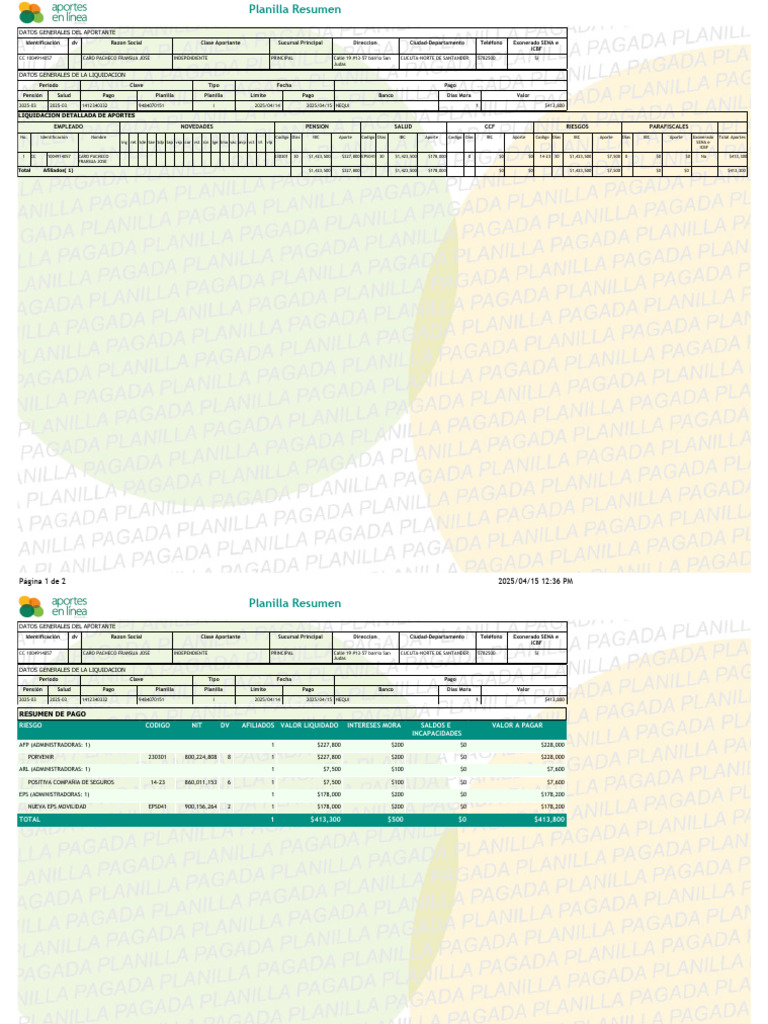 Planilla de Fransua Marzo 2025 | PDF | Servicios financieros | Finanzas personales