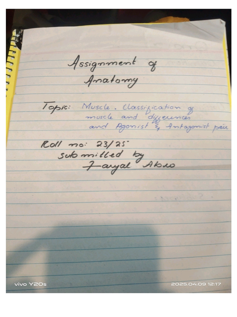 Anotomy Assignment of Muscle | PDF