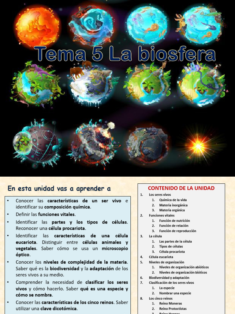 Tema 5 La Biosfera | PDF | Biología Celular) | Organismos