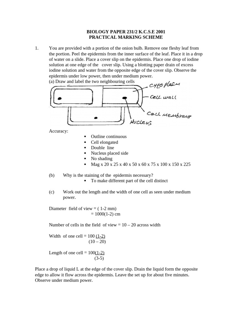 2001 BIOLOGY PRACTICAL ANSWERS | PDF | Leaf | Gill