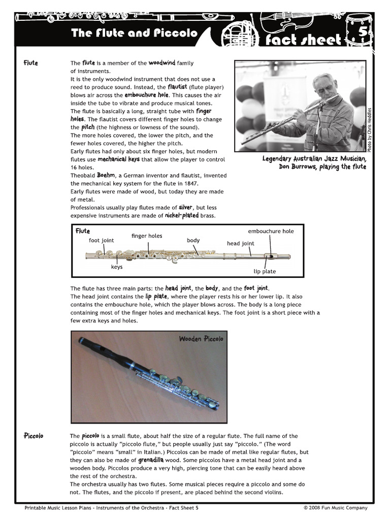 Piccolo: Facts and Features | PDF | Flute | Woodwind Instruments