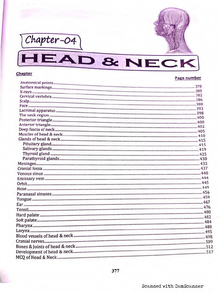 endeavour head neck | PDF | Vertebra | Neck