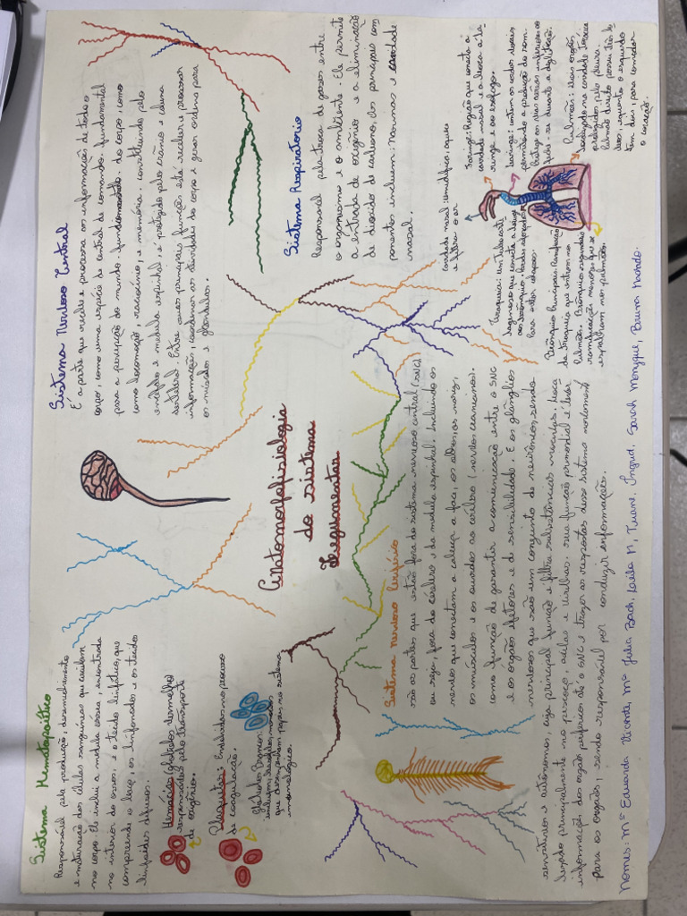 Mapa conceitual | PDF