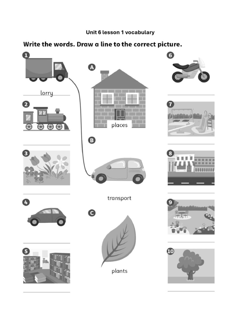 Unit 6 Lesson 1 Vocabulary | PDF