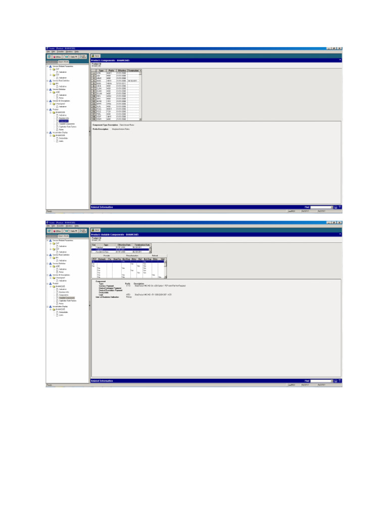Facets Screen Shots | PDF