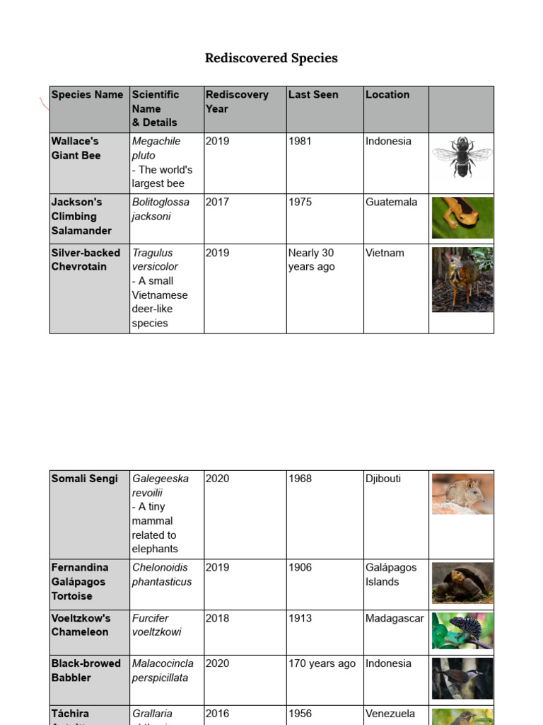 Rediscovered Animal Species List | PDF