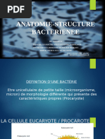 01 Structure Bacterienne | PDF | Bactérie | Cellule (Biologie)
