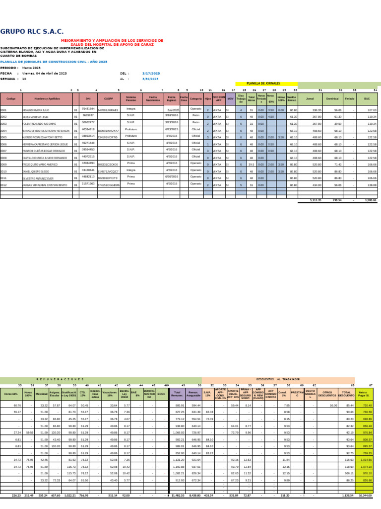 Planilla de Construcción Civil Con Boletas | PDF | Genética de Mamíferos | Genética