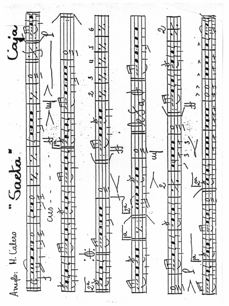 6 - La Saeta-1 | PDF