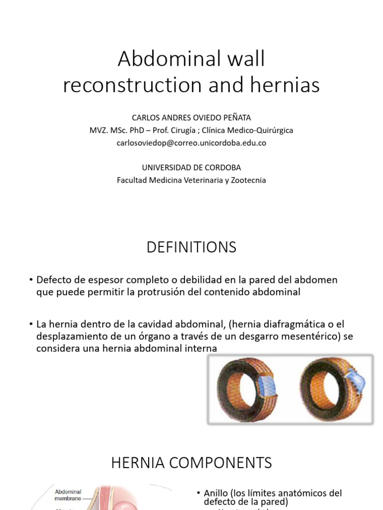 Abdominal Wall Reconstruction and Hernias | PDF | Abdomen