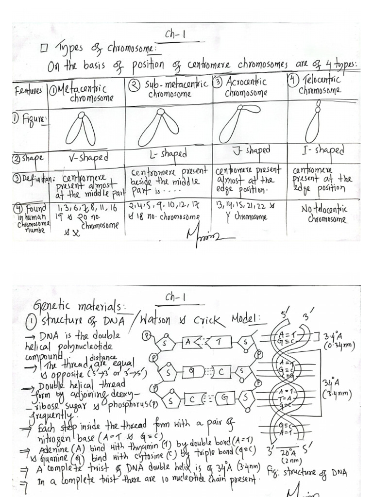 Bio-1 Ch-1 (Chromosome Type & DNA Structure) | PDF