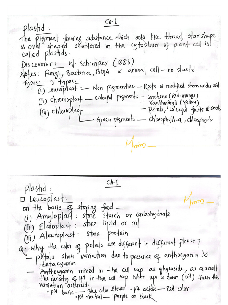 Bio-1 Ch-1 (Plastid Details) | PDF