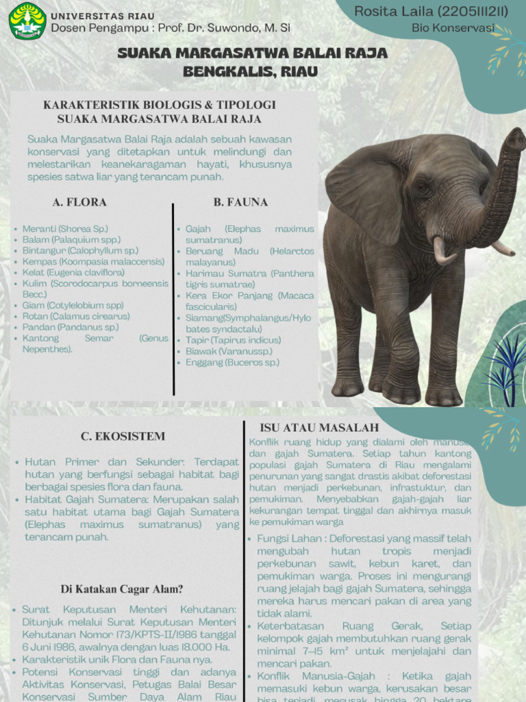 Suaka Margasatwa Balai Raja _Rosita Laila _2205111211 | PDF