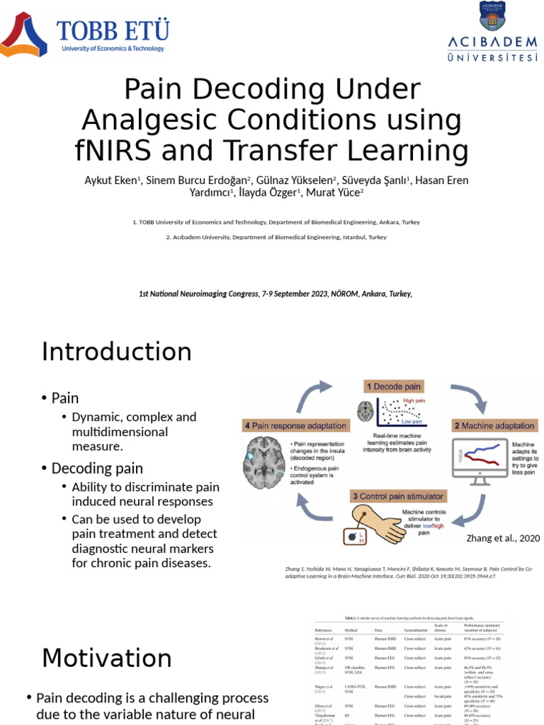 Pain Decoding Under Analgesic Conditions Using fNIRS and Transfer Learning - 1. Nörogörüntüleme ...