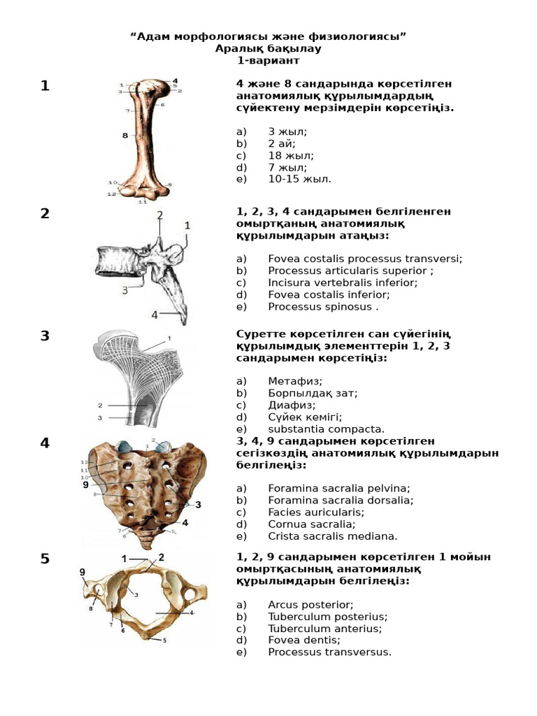 Вариант 1 Kaz | PDF