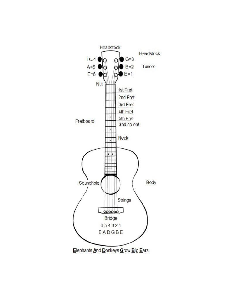 Guitar Anatomy | PDF