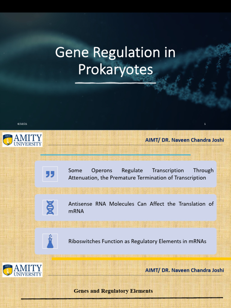 Gene Regulation In Prokaryotes Pdf Operon Repressor