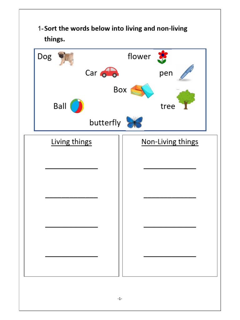 Living vs Non-Living Things Activity | PDF