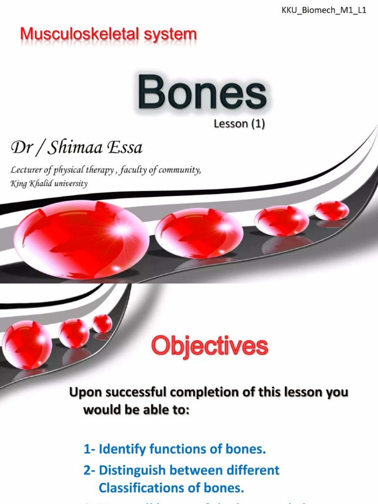 Functions Classification and Name of All Bones | PDF